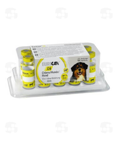 EURICAN L4 SUSP INYEC 10 DOSIS - Pecusam – Servicios Veterinarios Avanzados