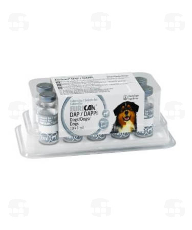 EURICAN SOLVENTE 10 DOSIS - Pecusam – Servicios Veterinarios Avanzados